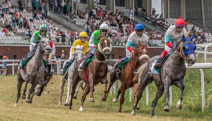 Concurs foto pentru publicul prezent la Marele Derby Regal al României ...